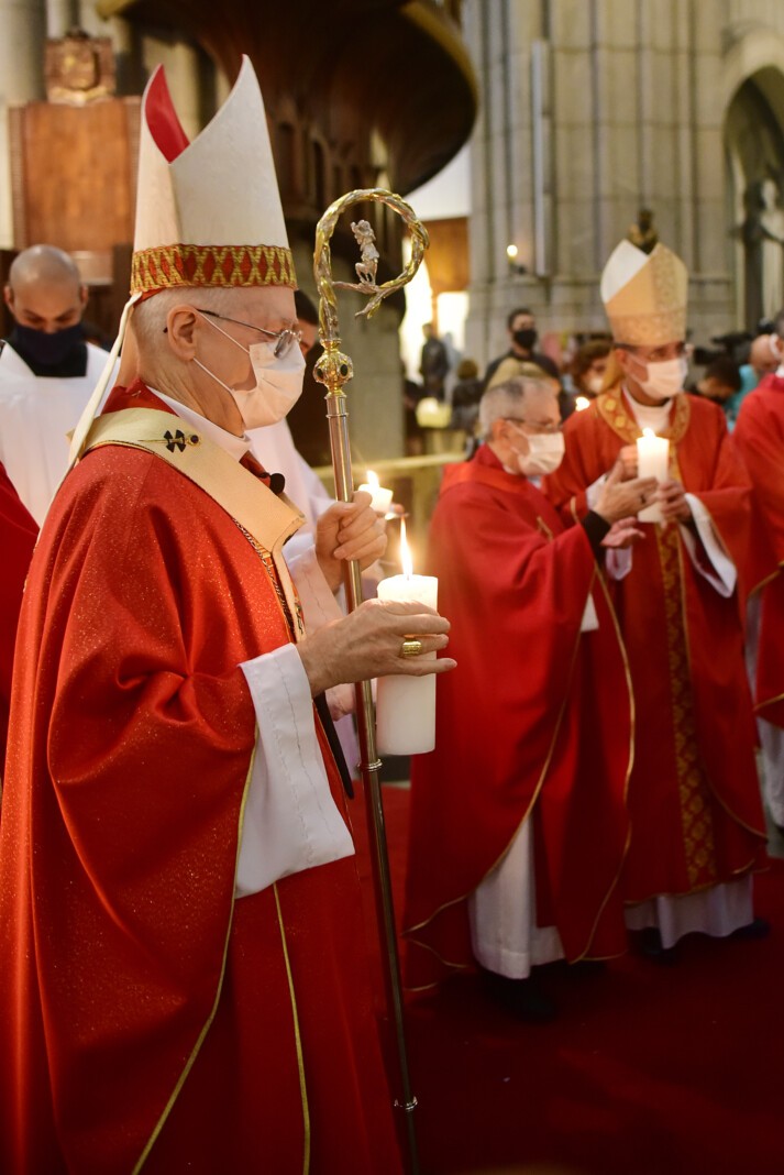 ‘O Sínodo é uma grande ação eclesial animada pelo Espírito Santo ...