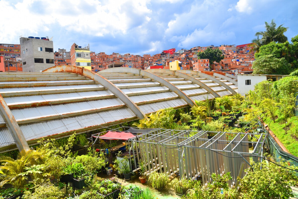 Paraisópolis é sinônimo de empreendedorismo e transformação social ...